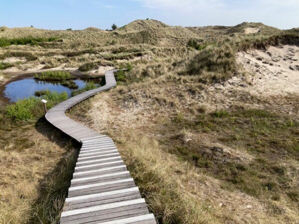 Coastal Rowing Academy in Amrum Island, North Sea – Coastal Boats
